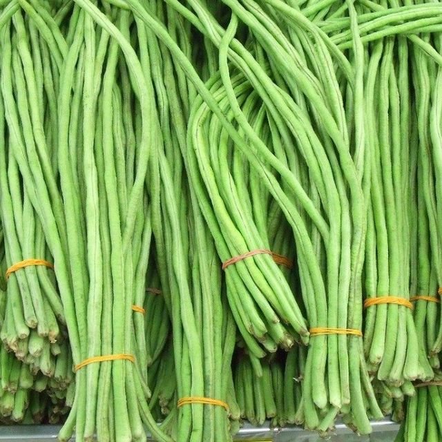 Yard Long Green Bean Seeds, Đậu Đũa Leo | Non-GMO – Mai's Family